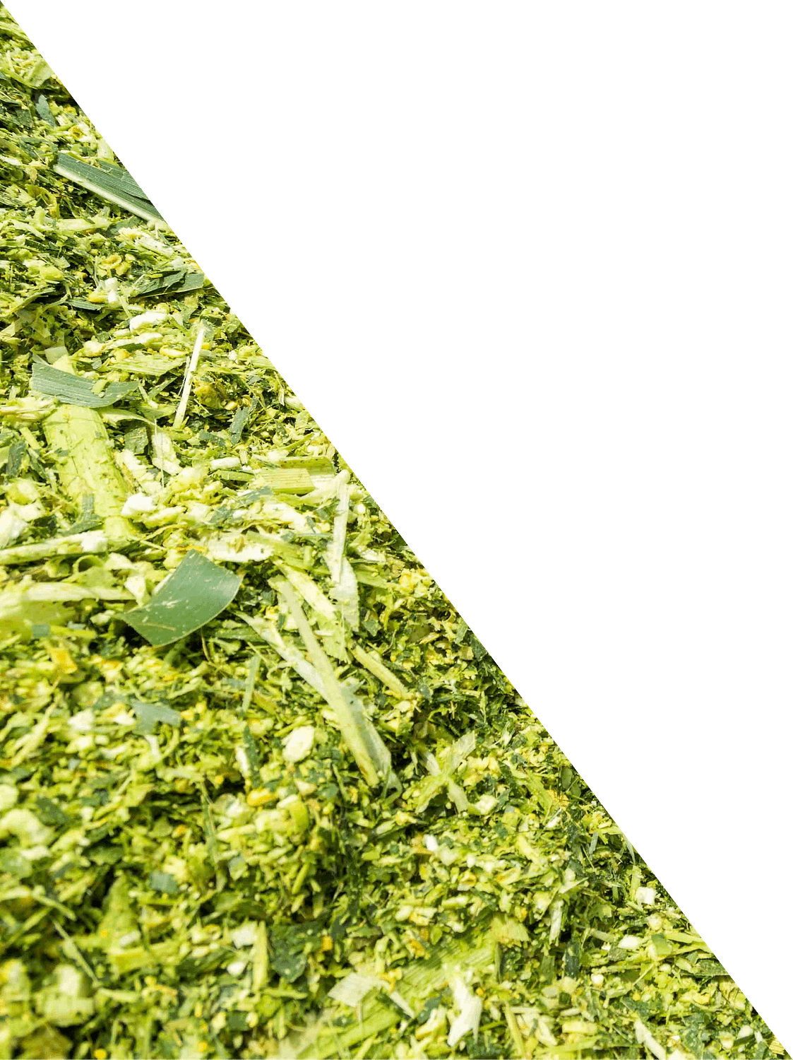 Culbac® Hay & Silage Inoculant For Forage Preservation - TransAgra